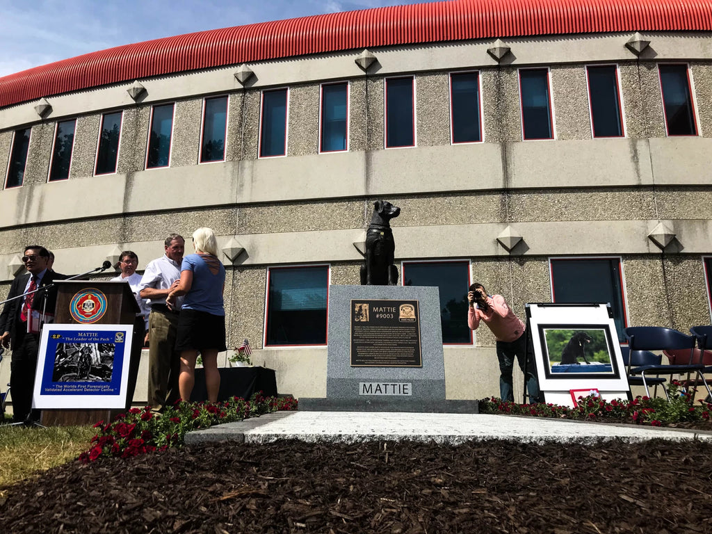 Connecticut State Police Immortalize K-9 with Bronze Statue | Randolph ...
