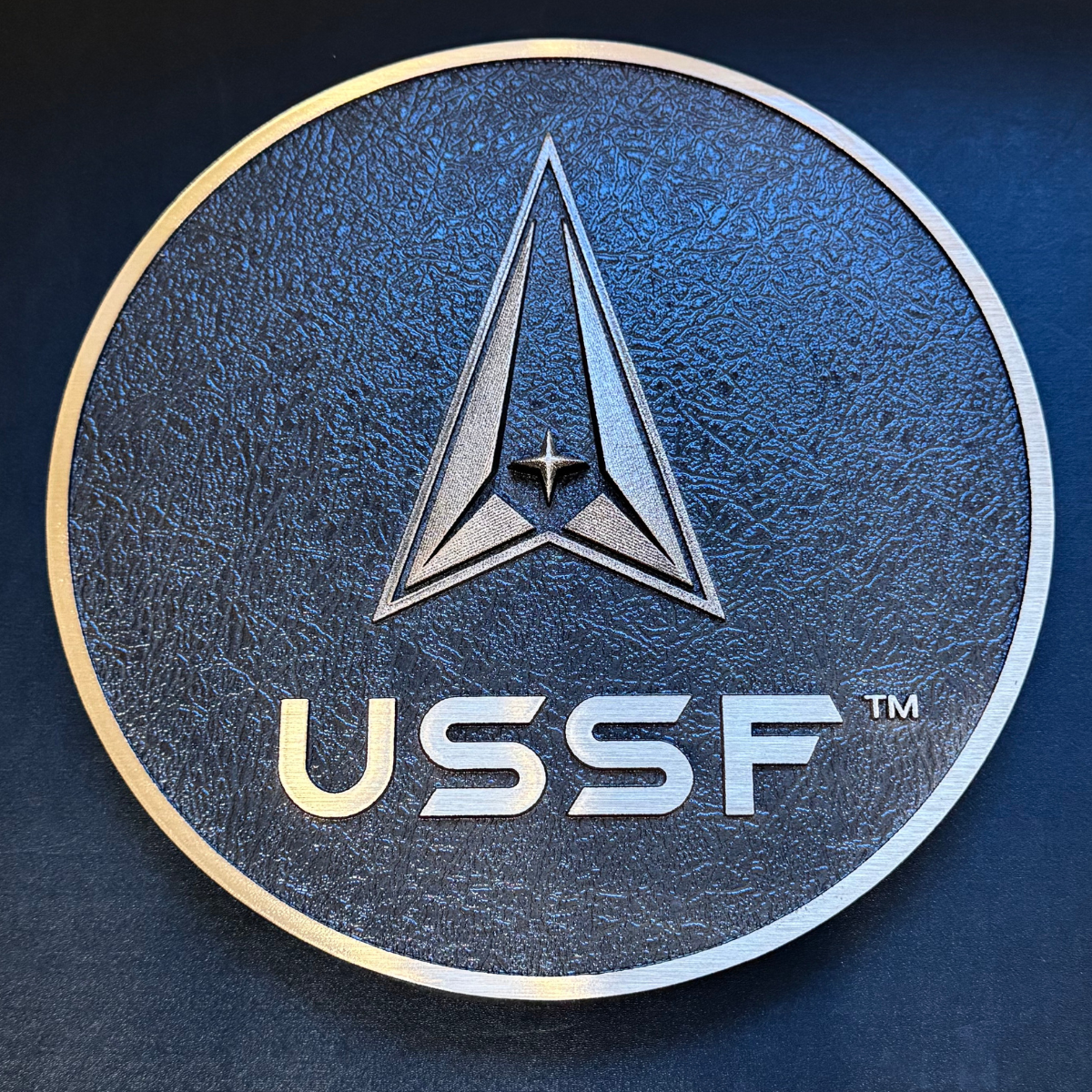 Patriotic Bronze Space Force Seal Plaque | Randolph Rose Collection