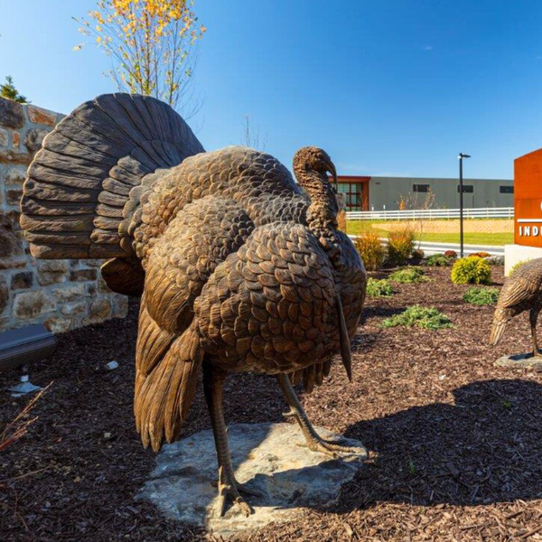 Life-size Pair of Bronze Turkey Statues | Randolph Rose Collection