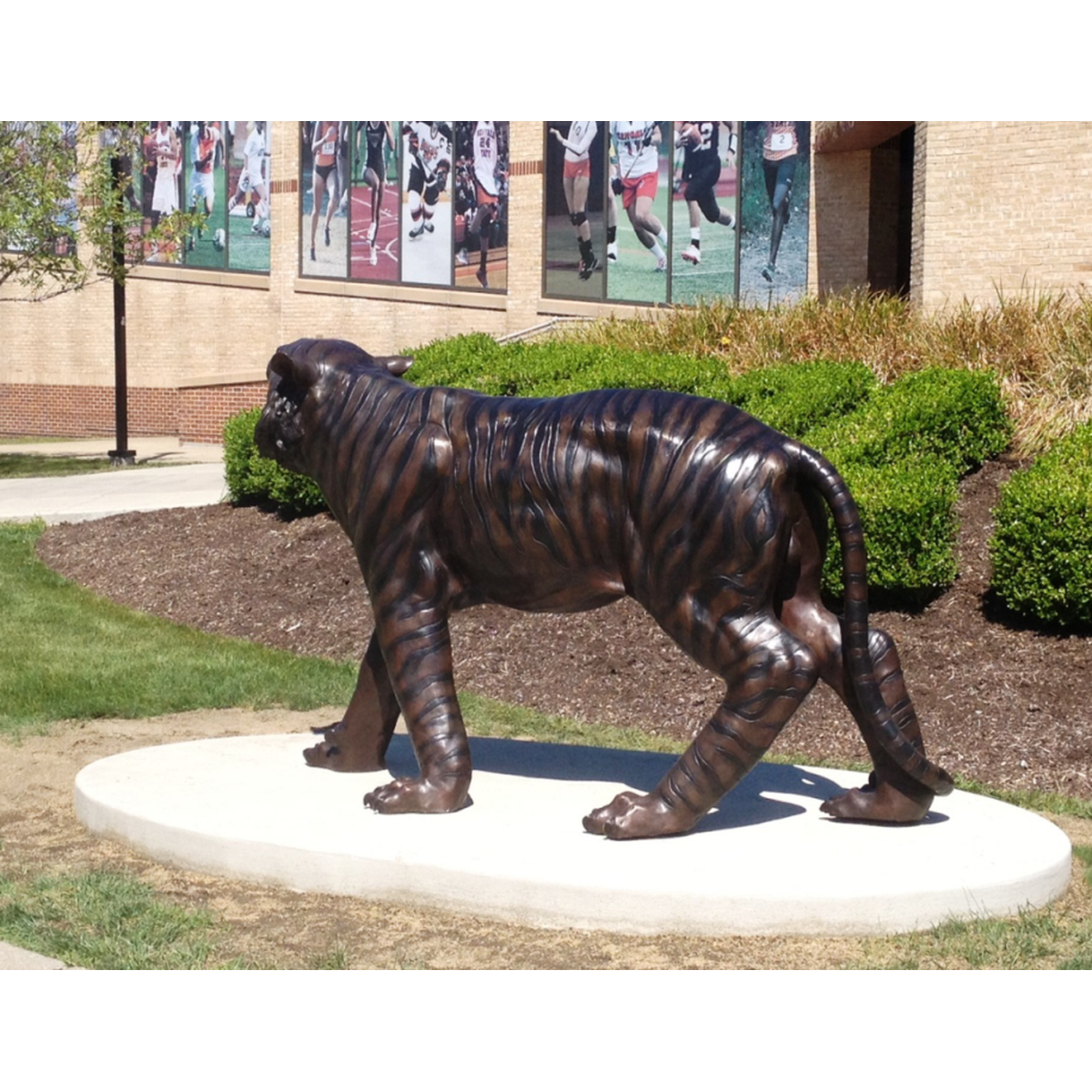 Large Bronze Bengal Tiger Statue | Randolph Rose Collection