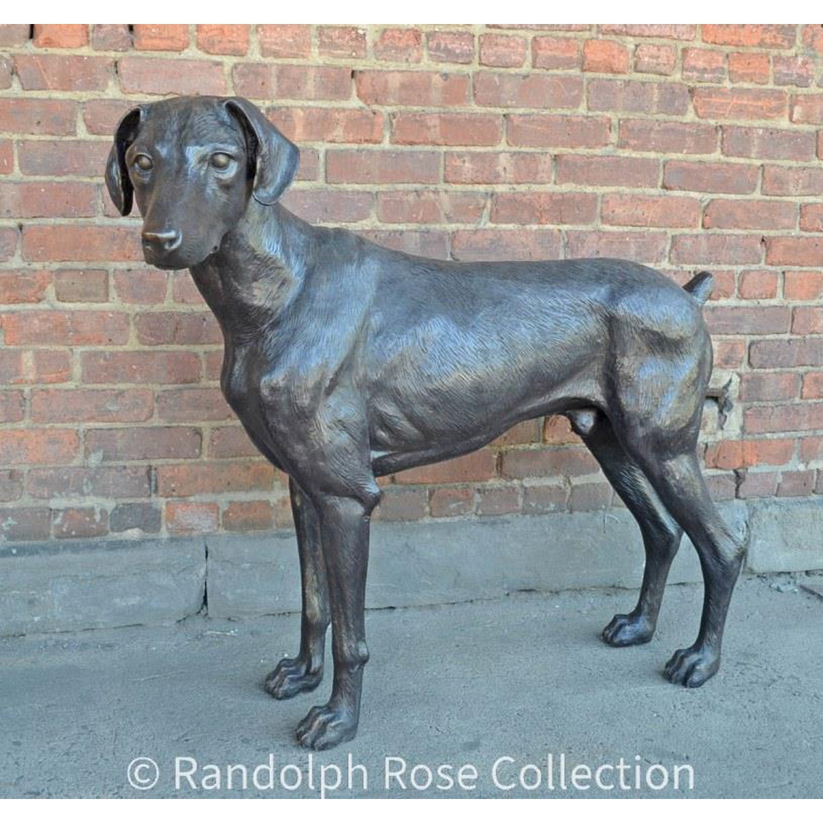 Bronze Doberman Pinscher Dog Statue | Randolph Rose Collection