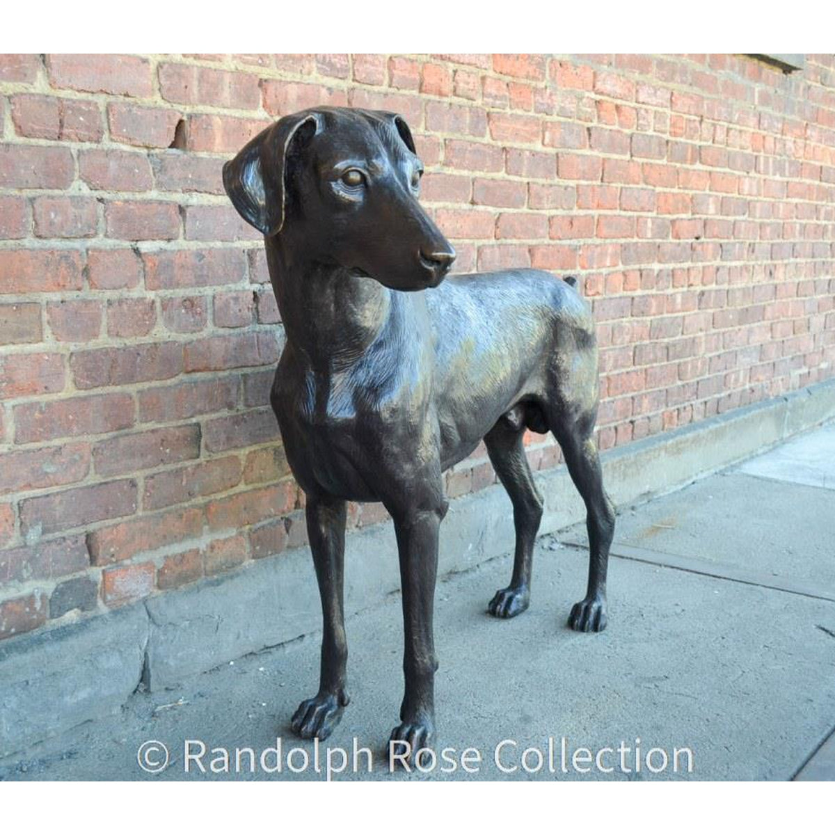 Bronze Doberman Pinscher Dog Statue | Randolph Rose Collection