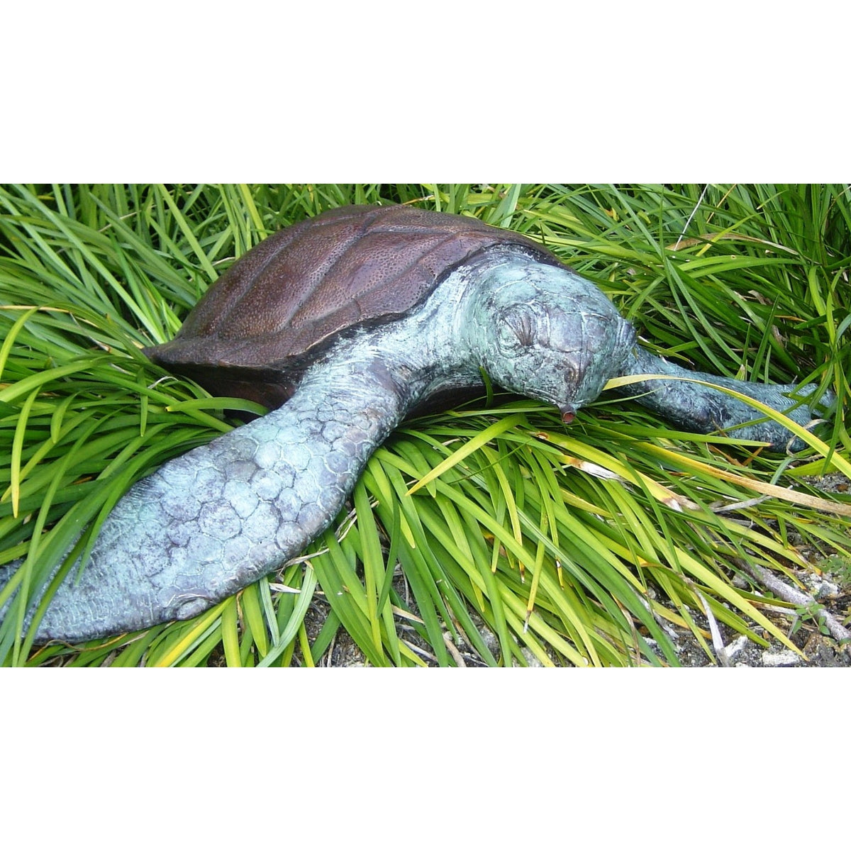 Bronze Sea Turtle Garden Statues | Randolph Rose Collection