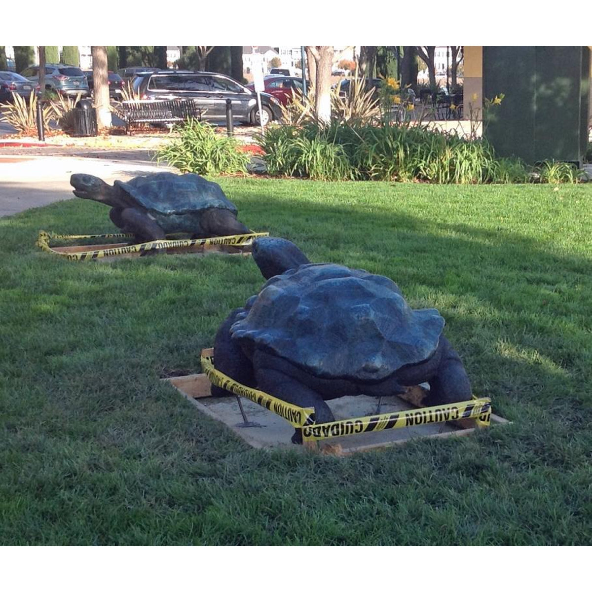 Large Bronze Turtle Garden Statue Walking | Randolph Rose Collection